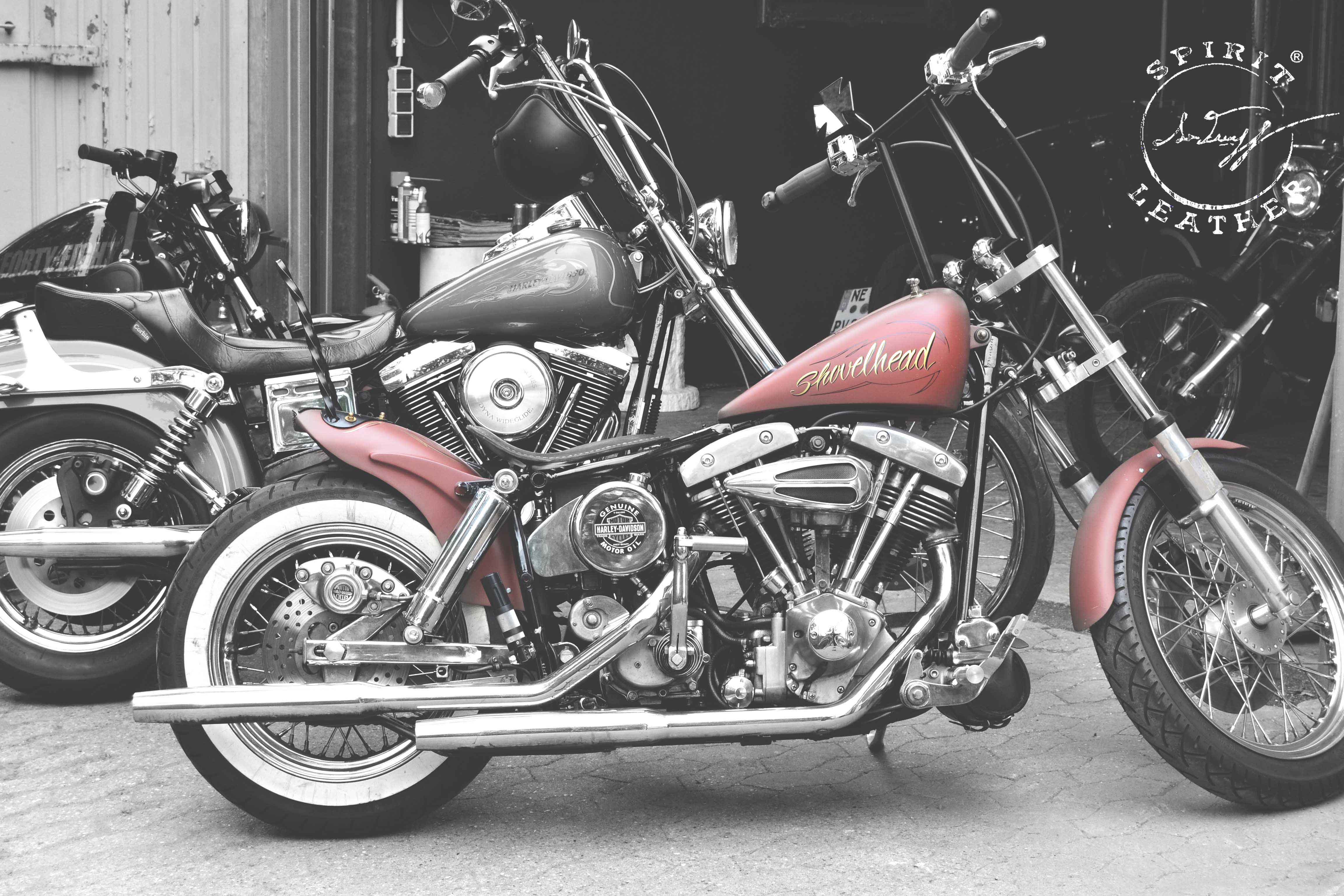 Archiv: Galerie / Gallery 2010